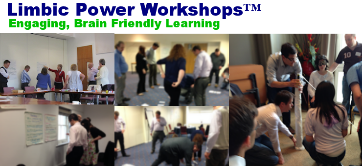 Limbic Leadership from Peter Green