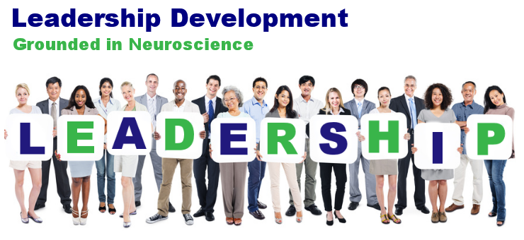 Limbic Leadership from Peter Green